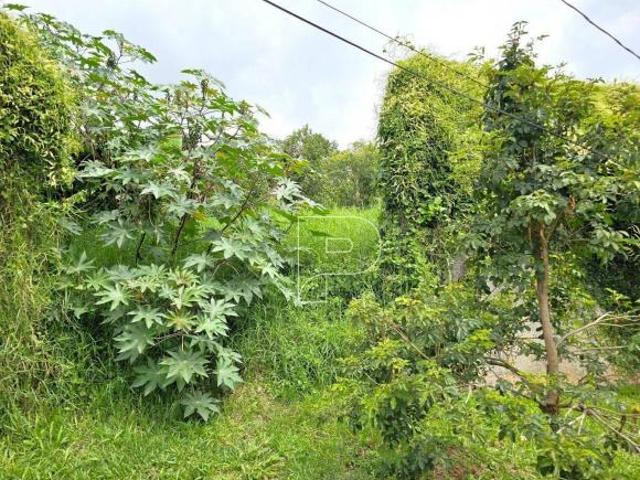 Terreno em condomínio na Granja Viana!