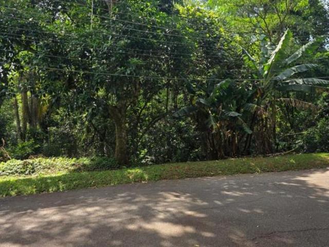 Terreno em condomínio na Serra da Cantareira, 1.102 m² | 30 m de frente