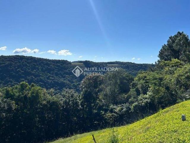 Terreno em Condomínio na Vila Olinda Nova Petrópolis Blumen Haus
