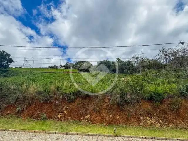 Terreno em Condomínio para Venda em Teresópolis/RJ Albuquerque