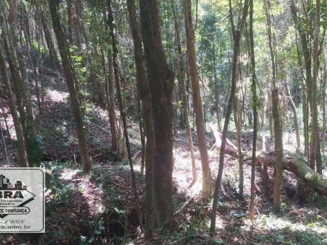 Terreno em Condomínio para Venda em Teresópolis/RJ Albuquerque