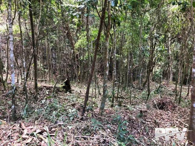 Terreno em Condomínio para Venda em Teresópolis/RJ Albuquerque