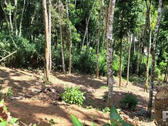 Terreno em Condomínio para Venda em Teresópolis/RJ Barra do Imbuí