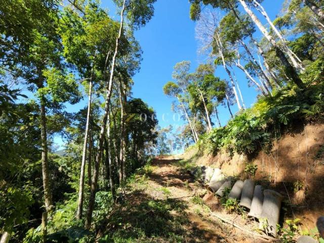 Terreno em Condomínio para Venda em Teresópolis/RJ Carlos Guinle