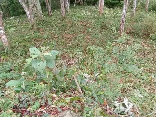 Terreno em Condomínio para Venda em Teresópolis/RJ Parque do Imbui