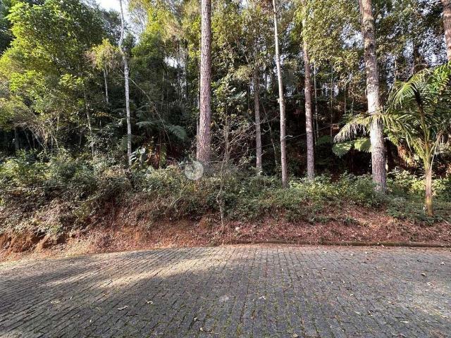 Terreno em Condomínio para Venda em Teresópolis/RJ Parque do Imbui