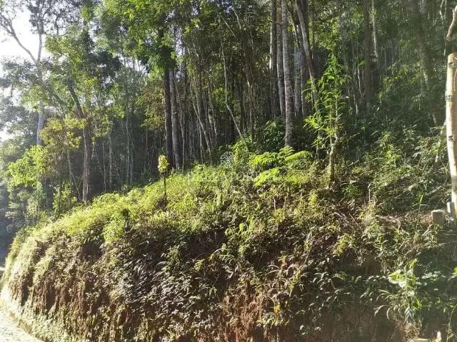 Terreno em Condomínio para Venda em Teresópolis/RJ Parque do Imbui