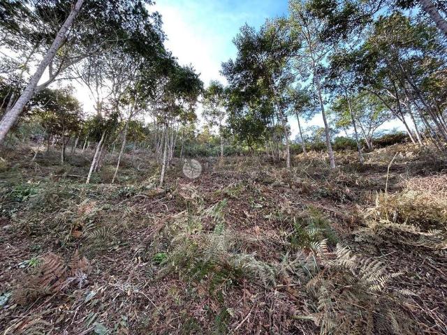 Terreno em Condomínio para Venda em Teresópolis/RJ Parque do Imbui