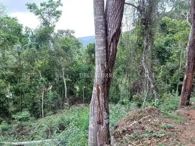 Terreno em Condomínio para Venda em Teresópolis/RJ Pessegueiros