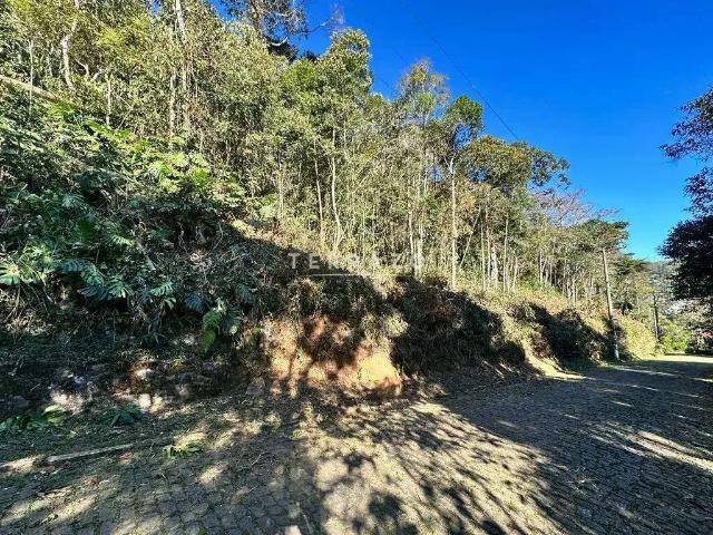 Terreno em Condomínio para Venda em Teresópolis/RJ Posse