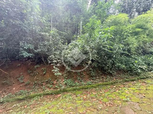 Terreno em Condomínio para Venda em Teresópolis/RJ Prata