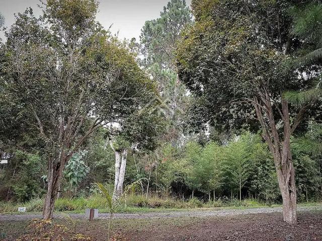 Terreno em Condomínio para Venda em Teresópolis/RJ Quebra Frascos