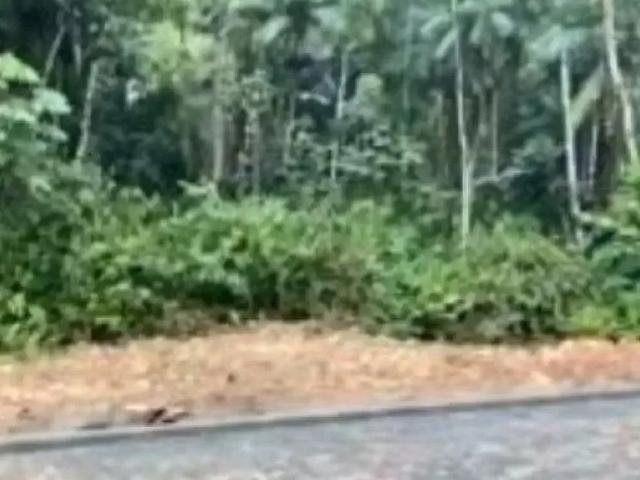 Terreno em Condomínio para Venda em Timbó/SC Padre Martinho Stein