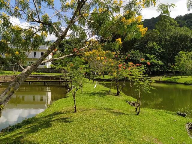 Terreno em Condomínio para Venda em Ubatuba/SP Horto