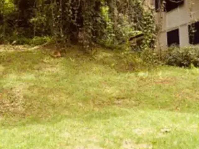 Terreno em Condomínio para Venda em Ubatuba/SP Santa Rita