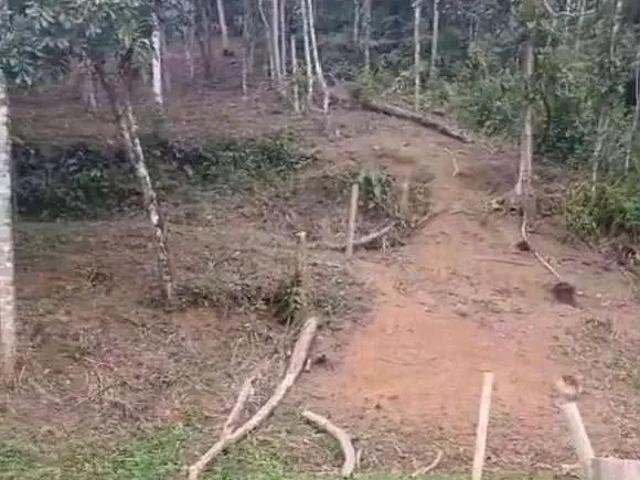 Terreno em Condomínio para Venda em Ubatuba/SP Praia do Itamambuca