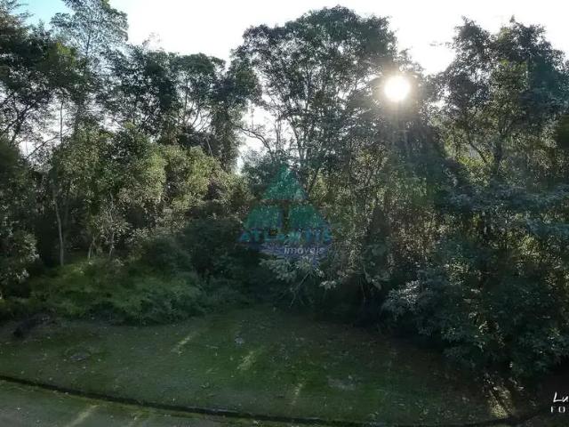 Terreno em Condomínio para Venda em Ubatuba/SP Praia da Lagoinha
