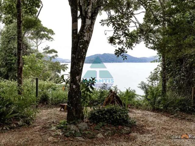 Terreno em Condomínio para Venda em Ubatuba/SP Praia Vermelha do Sul