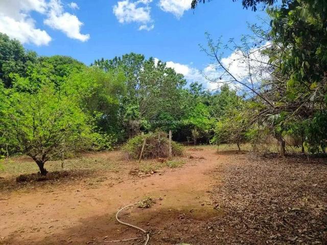 Terreno em Condomínio para Venda em Uberaba/MG Jockey Park