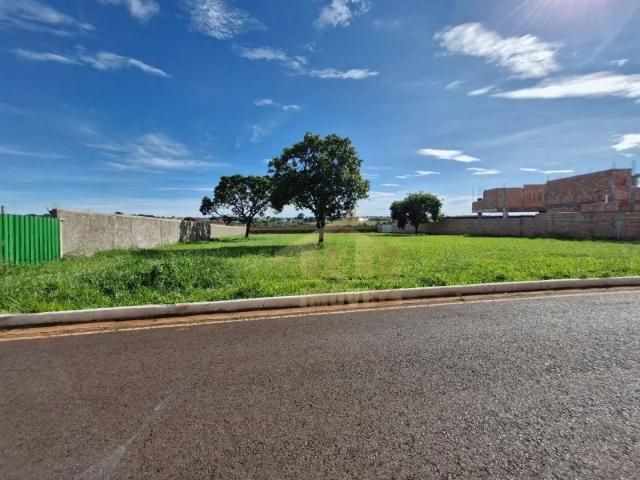 Terreno em Condomínio para Venda em Uberaba/MG Residencial Mário de Almeida Franco