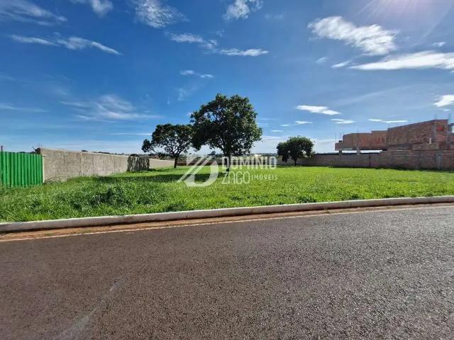 Terreno em Condomínio para Venda em Uberaba/MG Residencial Mário de Almeida Franco