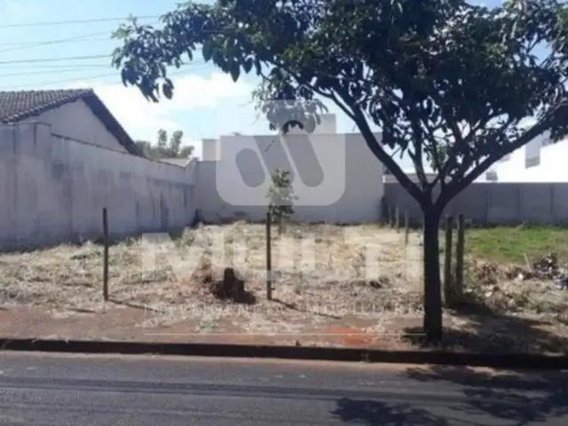 Terreno em Condomínio para Venda em Uberlândia/MG Alto Umuarama 1 Quartos