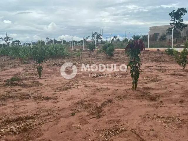 Terreno em Condomínio para Venda em Uberlândia/MG Área Rural de Uberlândia