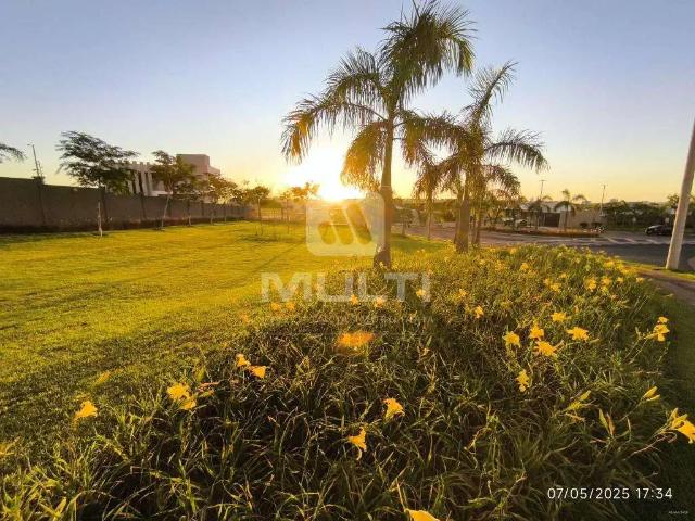 Terreno em Condomínio para Venda em Uberlândia/MG Gávea 1 Quartos