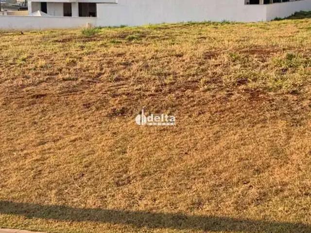 Terreno em Condomínio para Venda em Uberlândia/MG Gávea