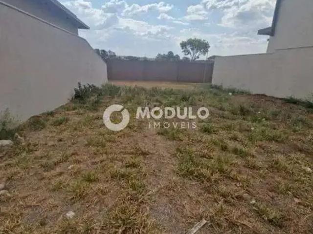 Terreno em Condomínio para Venda em Uberlândia/MG Gávea