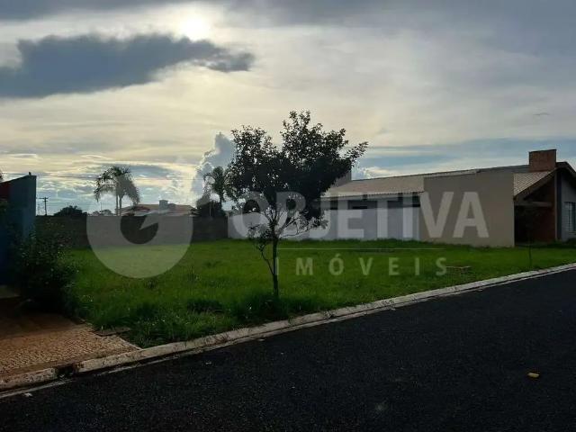 Terreno em Condomínio para Venda em Uberlândia/MG Gávea Sul
