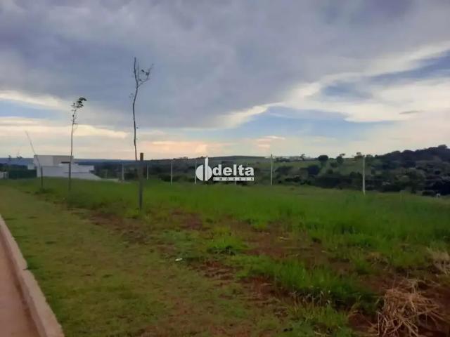 Terreno em Condomínio para Venda em Uberlândia/MG Granja Marileusa