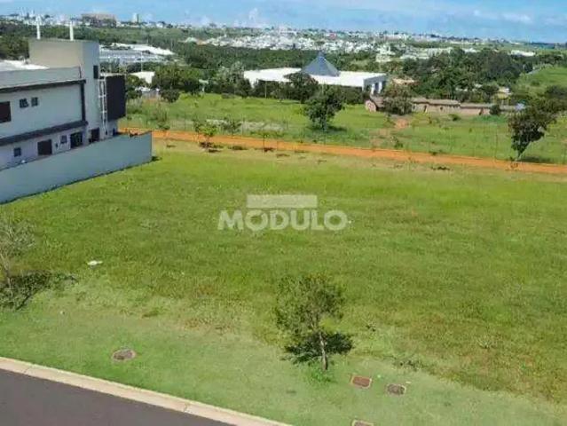 Terreno em Condomínio para Venda em Uberlândia/MG Granja Marileusa