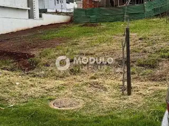 Terreno em Condomínio para Venda em Uberlândia/MG Granja Marileusa