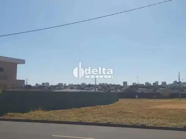 Terreno em Condomínio para Venda em Uberlândia/MG Jardim Inconfidência