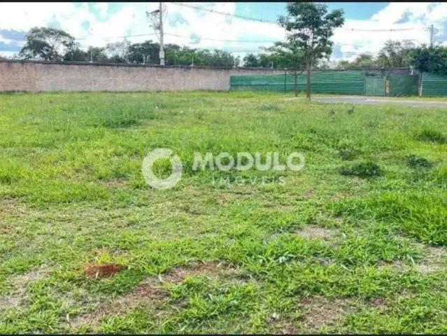 Terreno em Condomínio para Venda em Uberlândia/MG Laranjeiras