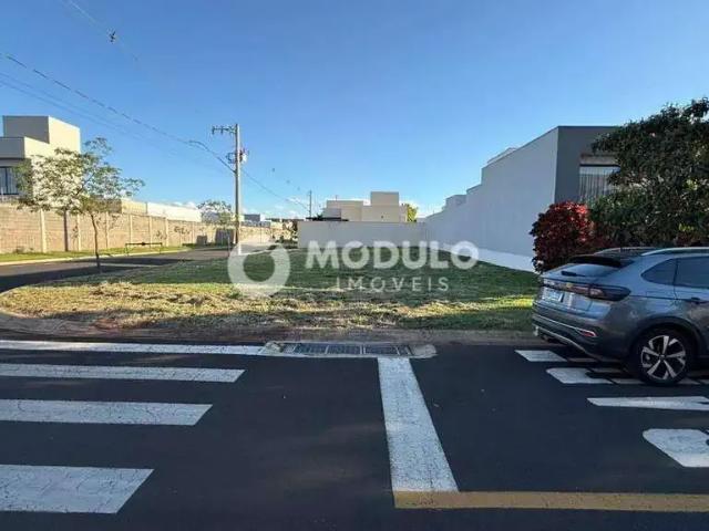 Terreno em Condomínio para Venda em Uberlândia/MG Novo Mundo