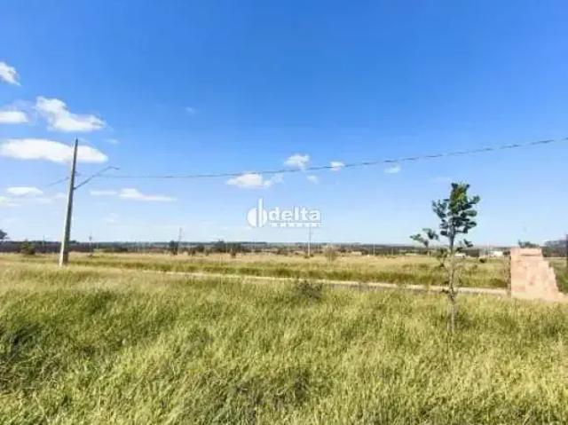 Terreno em Condomínio para Venda em Uberlândia/MG Novo Mundo
