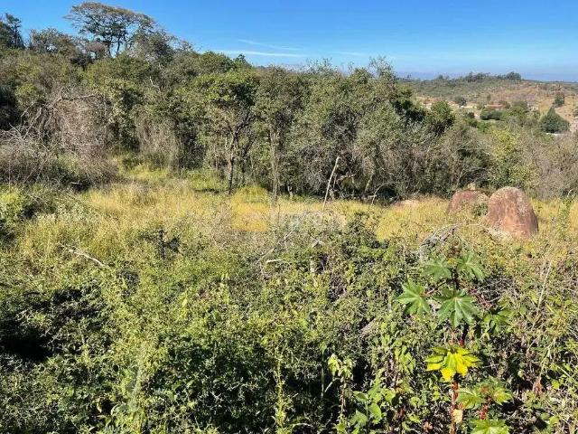 Terreno em Condomínio para Venda em Valinhos/SP Condomínio Cisalpina Park