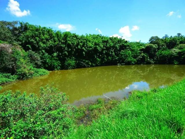 Terreno em Condomínio para Venda em Valinhos/SP Jardim Portugal
