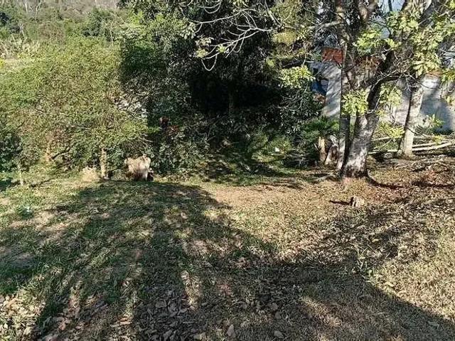 Terreno em Condomínio para Venda em Vargem Grande Paulista/SP Jardim Europa
