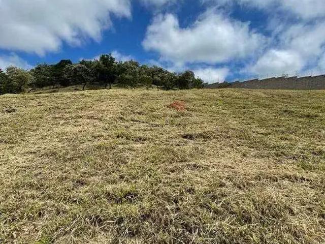 Terreno em Condomínio para Venda em Vinhedo/SP Condomínio Campo de Toscana