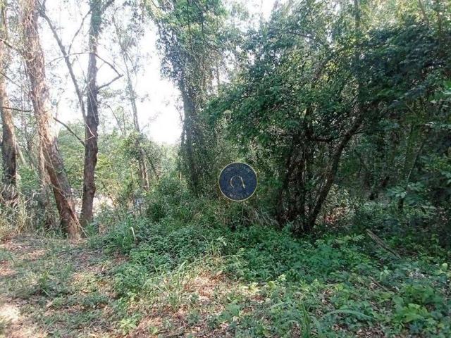 Terreno em Condomínio para Venda em Vinhedo/SP Santa Rosa