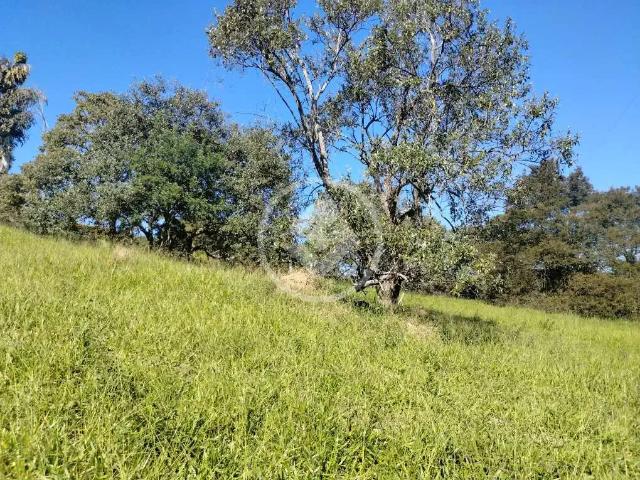 Terreno em Condomínio para Venda em Vinhedo/SP Vale da Santa Fé