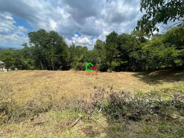 Terreno em Condomínio para Venda em Vinhedo/SP Vista Alegre
