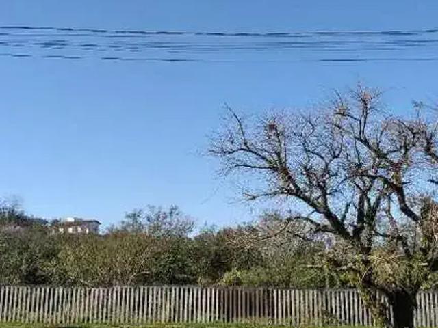 Terreno em Condomínio para Venda em Viamão/RS Tarumã