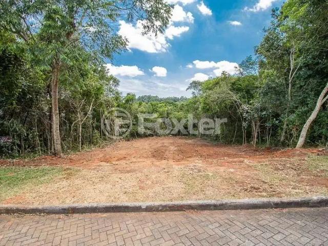 Terreno em Condomínio para Venda em Viamão/RS Vila Augusta