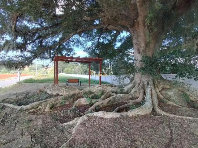 Terreno em Condomínio para Venda em Viamão/RS Vila Augusta