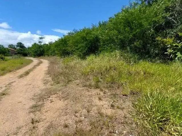 Terreno em Condomínio para Venda em Viamão/RS Parque Índio Jari