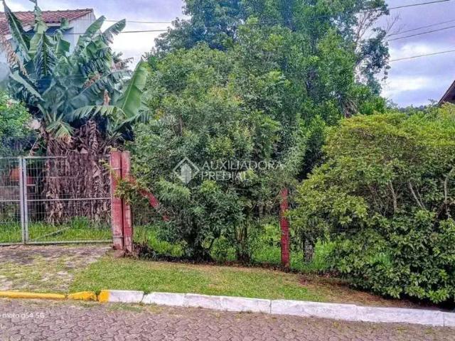 Terreno em Condomínio para Venda em Viamão/RS São Lucas